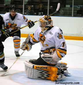 Sarniasports - Sarnia Sting